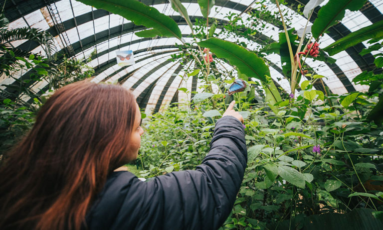 When is the best time to visit Monteverde? - Selvatura